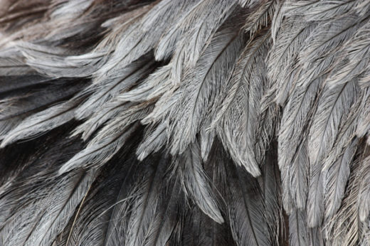 A Jewel at the Heart of Quantum Physics | Quanta Magazine