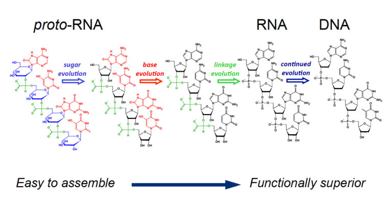 Chemists Seek Possible Precursor to RNA | Quanta Magazine