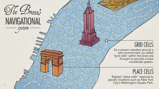 Brain’s Positioning System Linked to Memory | Quanta Magazine