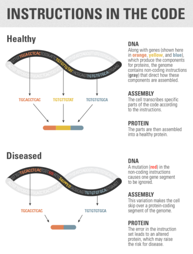 Machine Intelligence Cracks Genetic Controls | Quanta Magazine