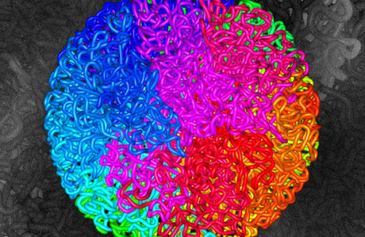 Genetic Geometry Takes Shape | Quanta Magazine