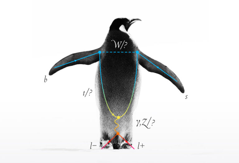 ‘Penguin’ Anomaly Hints at Missing Particles | Quanta Magazine