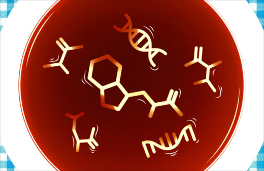How Structure Arose in the Primordial Soup | Quanta Magazine