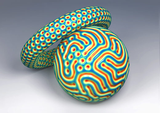 A Grand Theory of Wrinkles | Quanta Magazine