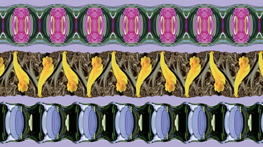 How to Create Art With Mathematics | Quanta Magazine