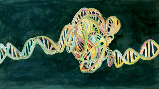 How Strange Twists in DNA Orchestrate Life | Quanta Magazine