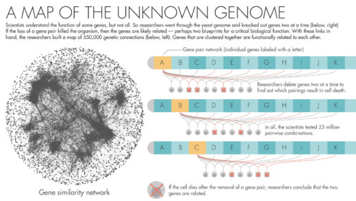 Giant Genetic Map Shows Life’s Hidden Links | Quanta Magazine