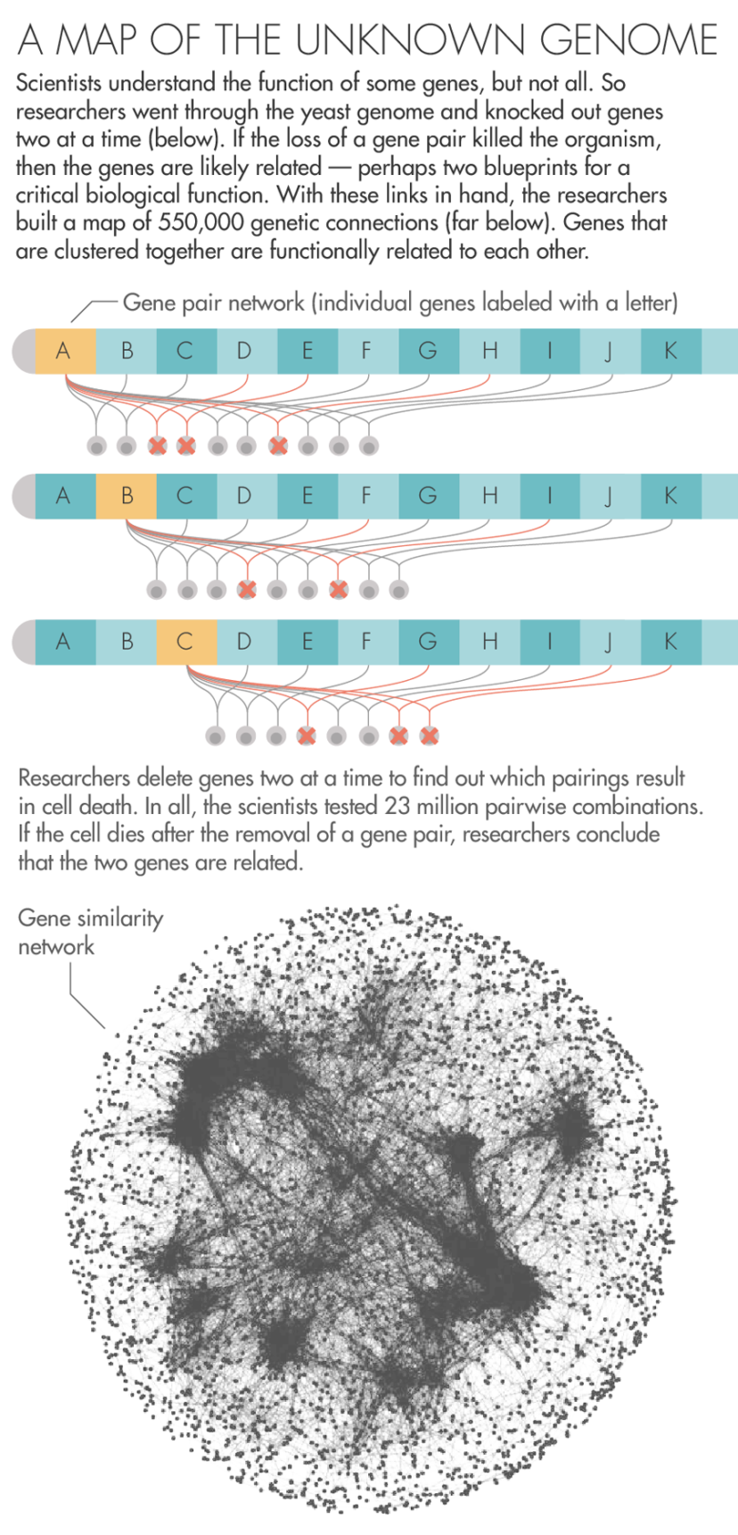 Giant Genetic Map Shows Life’s Hidden Links | Quanta Magazine