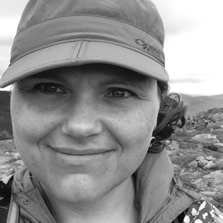 How Dinosaurs Shrank and Became Birds | Quanta Magazine