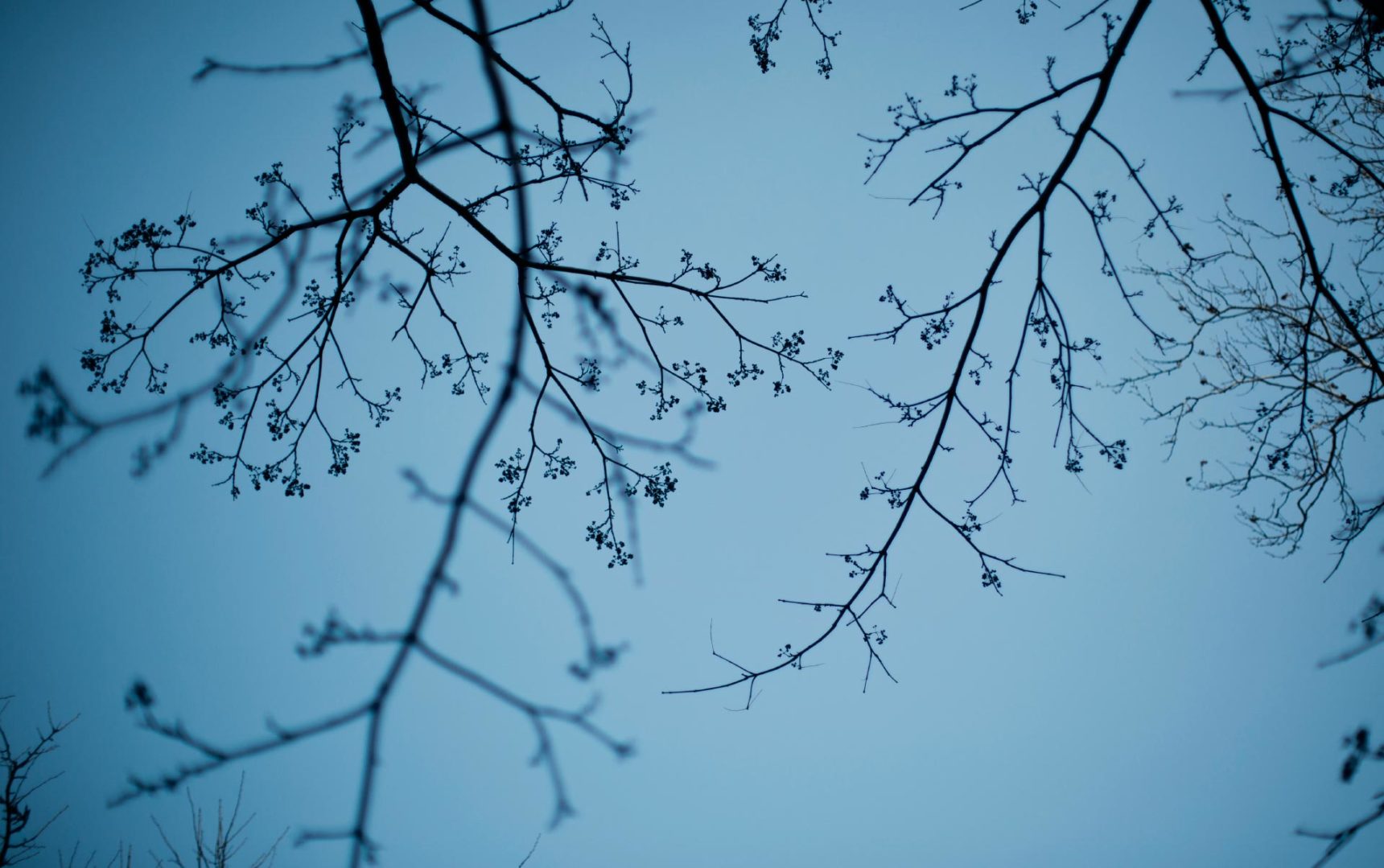 Subhash Khot, Playing Unique Games in Washington Square Park | Quanta ...