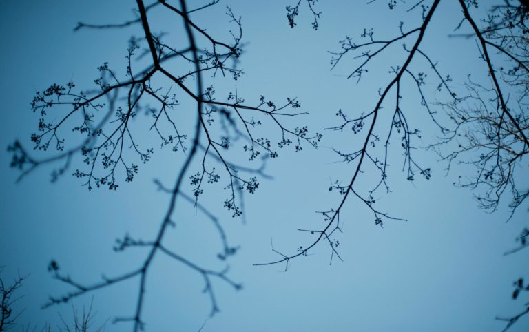 Subhash Khot, Playing Unique Games in Washington Square Park | Quanta ...