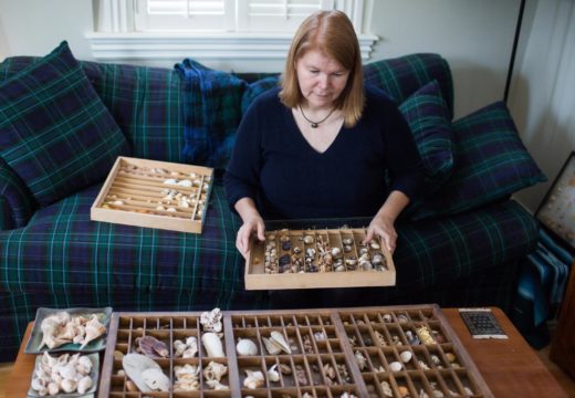 Janet Conrad, Seeker of Neutrinos and Other Curiosities | Quanta Magazine