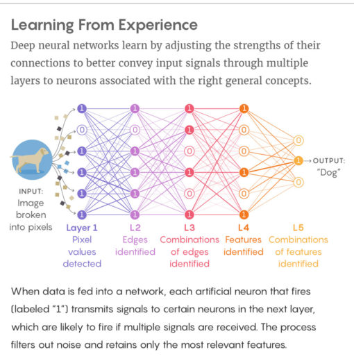 New Theory Cracks Open the Black Box of Deep Learning | Quanta Magazine