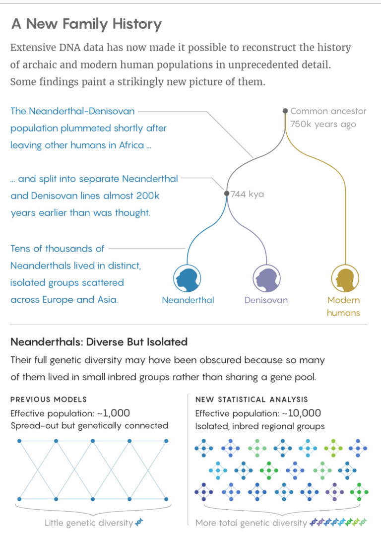 Genetics Spills Secrets From Neanderthals’ Lost History | Quanta Magazine