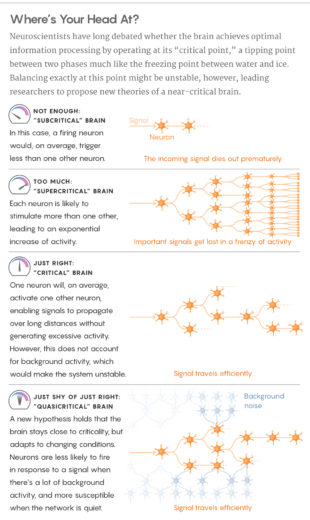 Brains May Teeter Near Their Tipping Point | Quanta Magazine