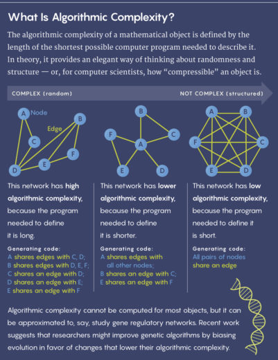Mathematical Simplicity May Drive Evolution’s Speed | Quanta Magazine