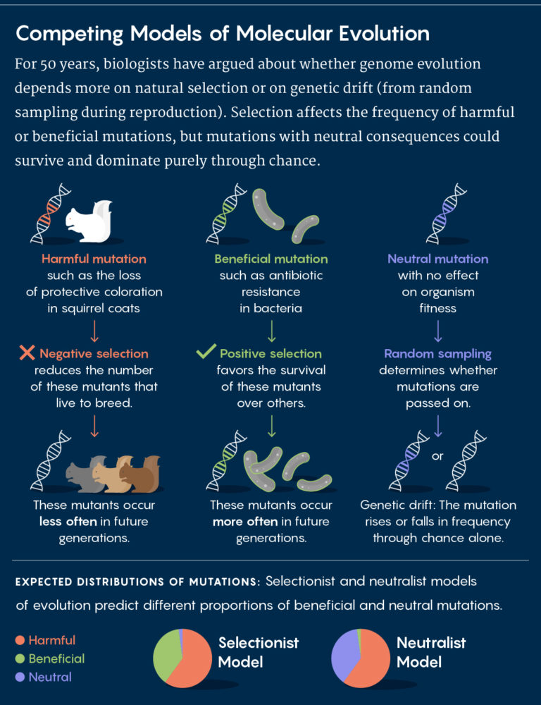 Theorists Debate How ‘Neutral’ Evolution Really Is | Quanta Magazine