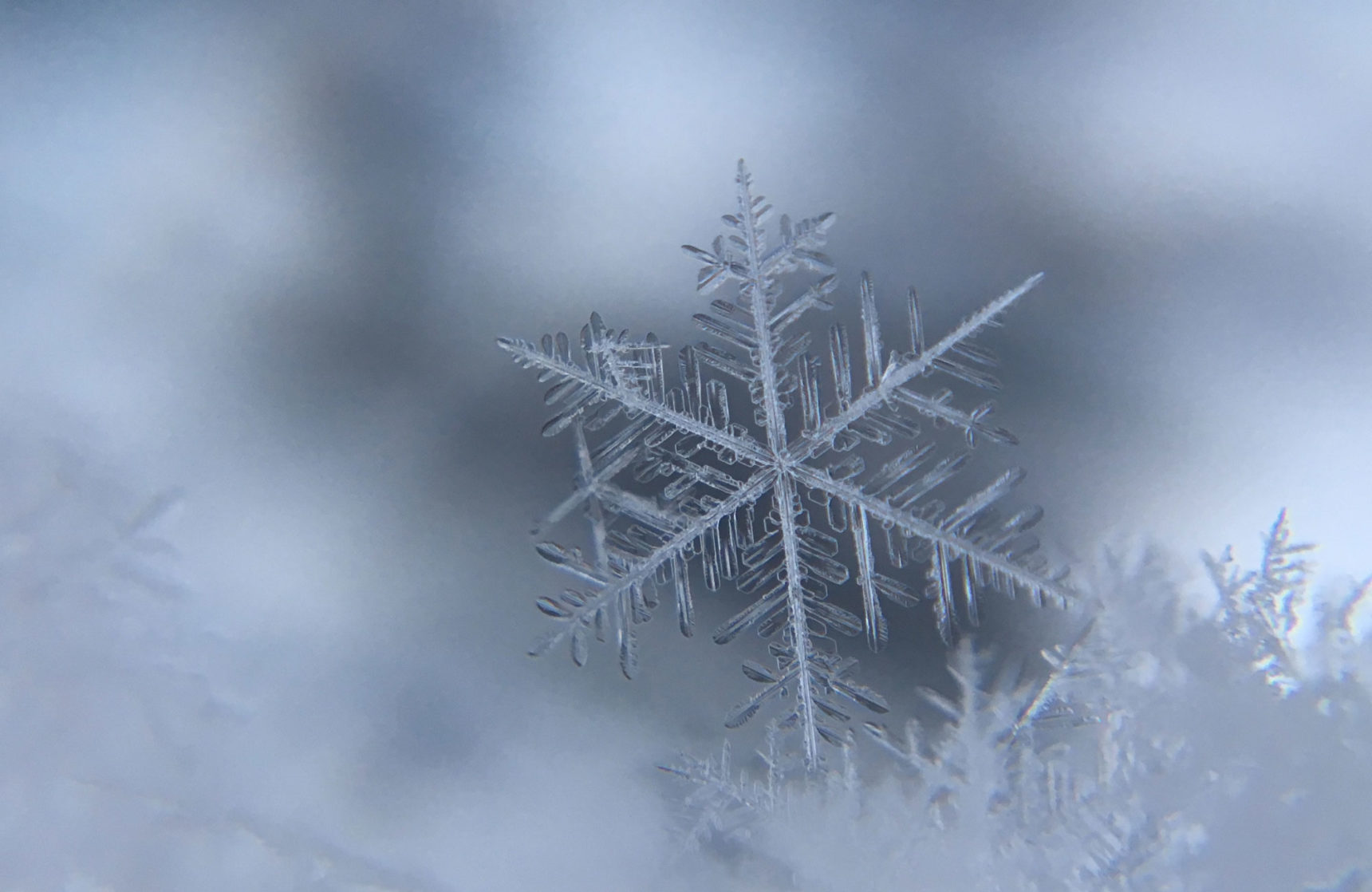 A Universal Law for the ‘Blood of the Earth’ | Quanta Magazine