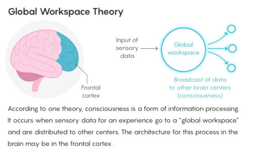 Neuroscience Readies for a Showdown Over Consciousness Ideas | Quanta ...