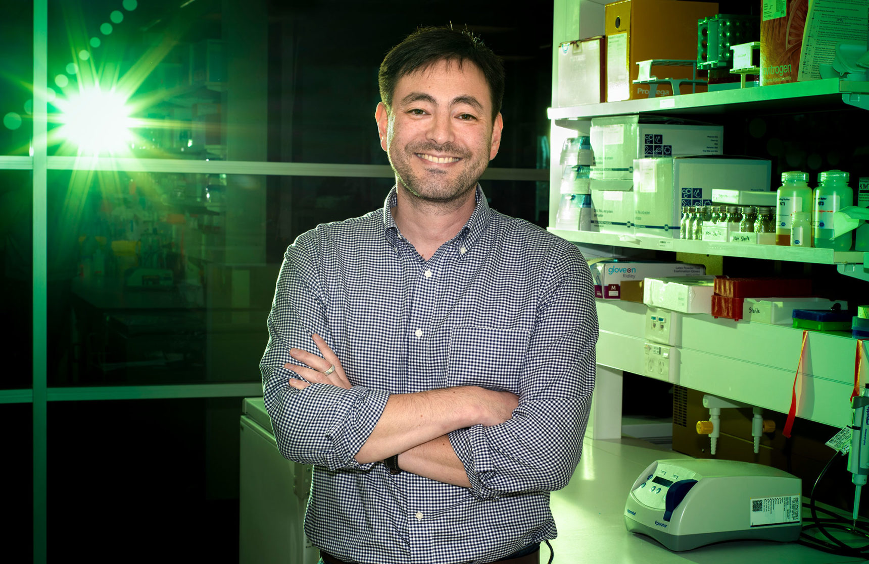 Researchers Rethink the Ancestry of Complex Cells | Quanta Magazine