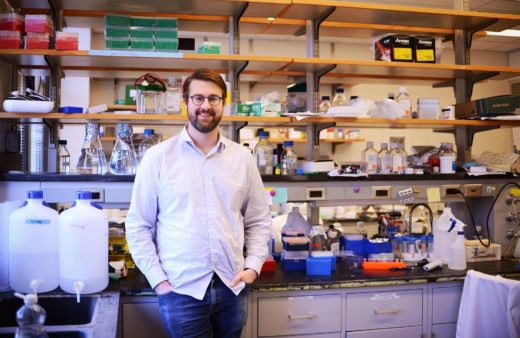 Cells That ‘Taste’ Danger Set Off Immune Responses | Quanta Magazine