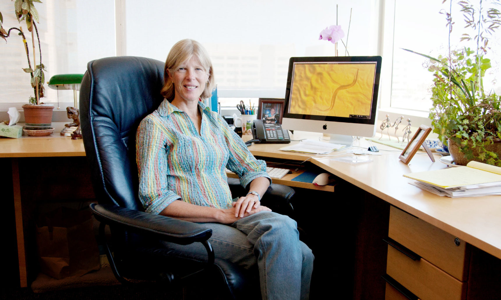 Longevity Linked to Proteins That Calm Overexcited Neurons | Quanta ...