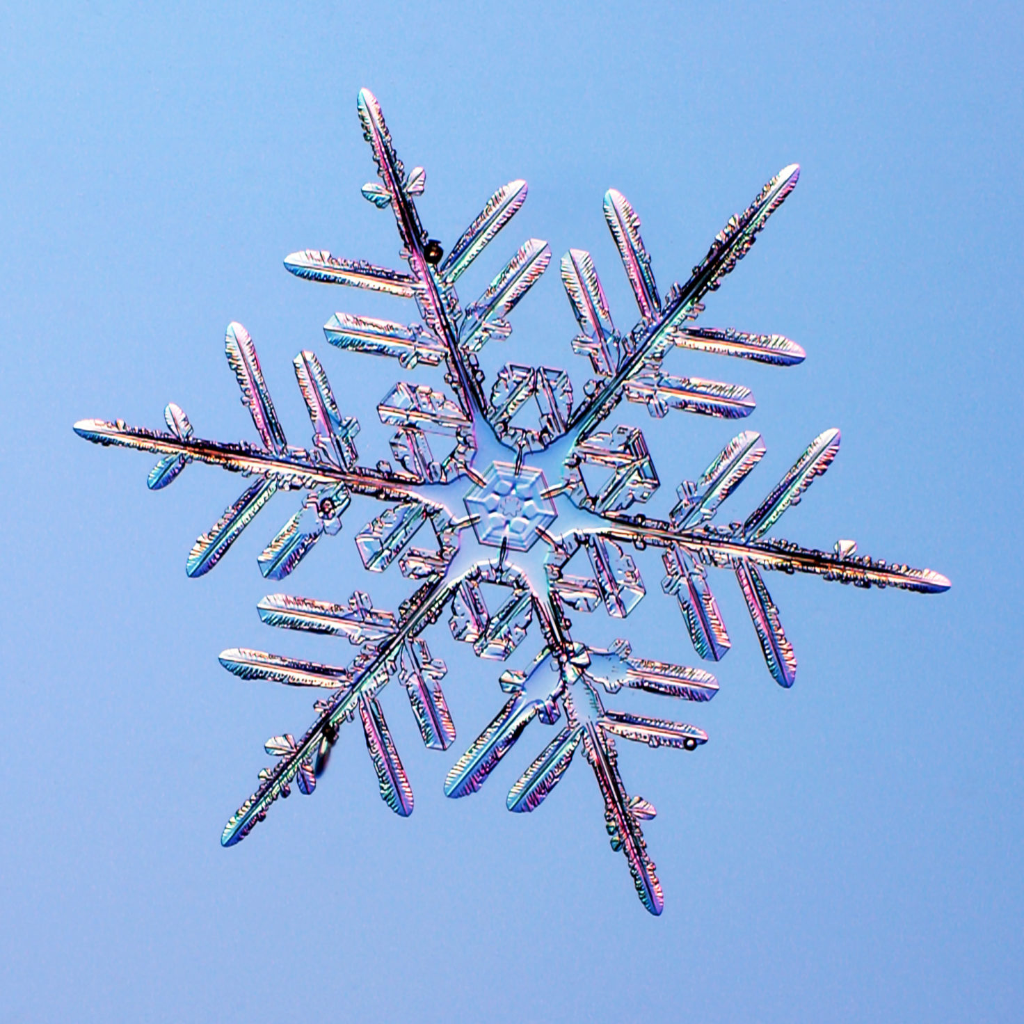 Toward a Grand Unified Theory of Snowflakes | Quanta Magazine