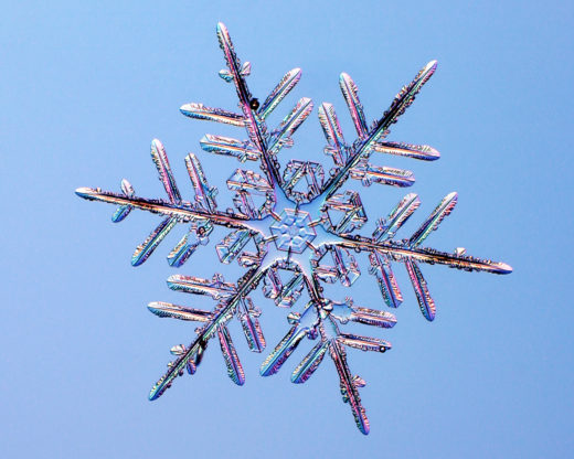 Toward a Grand Unified Theory of Snowflakes | Quanta Magazine