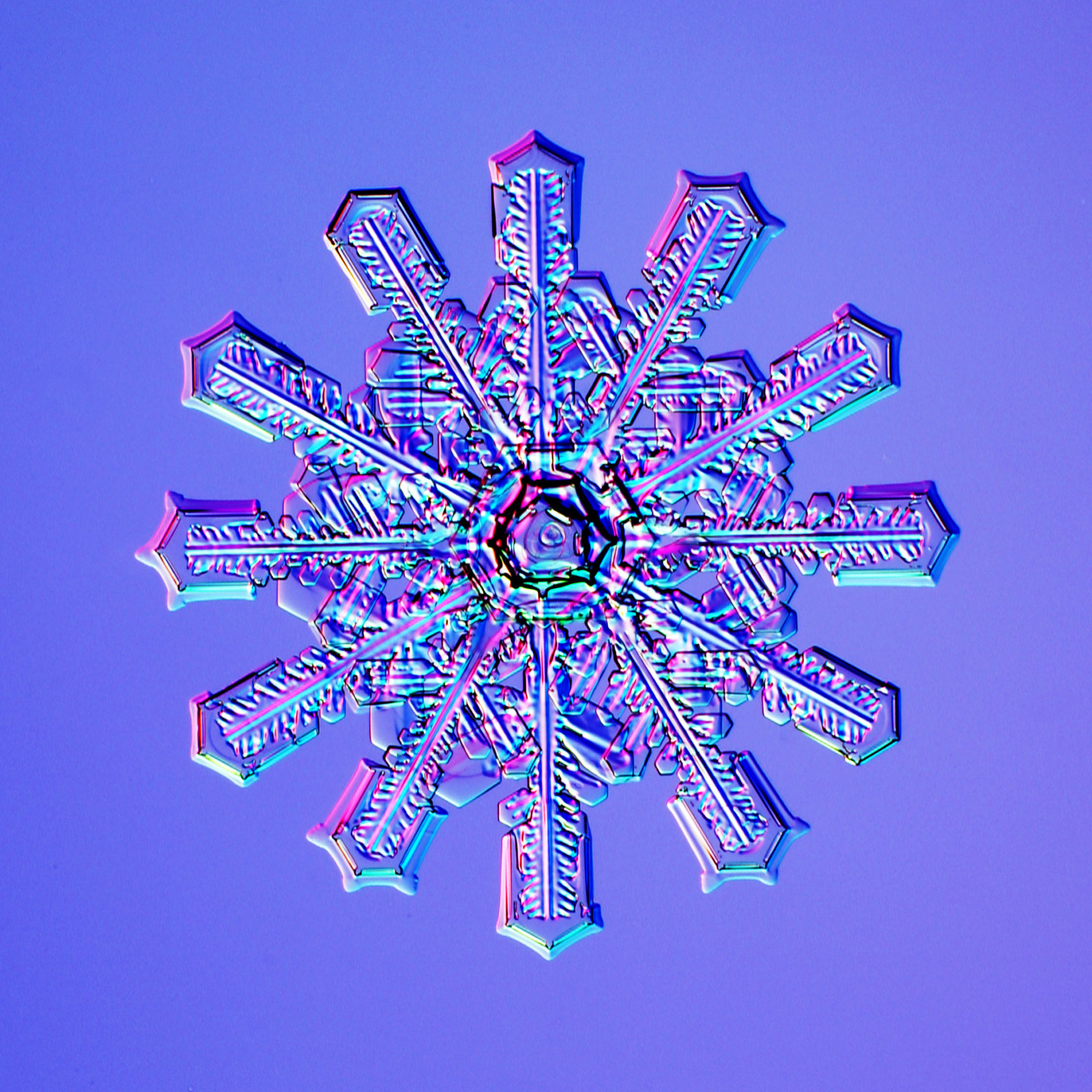 Toward a Grand Unified Theory of Snowflakes | Quanta Magazine