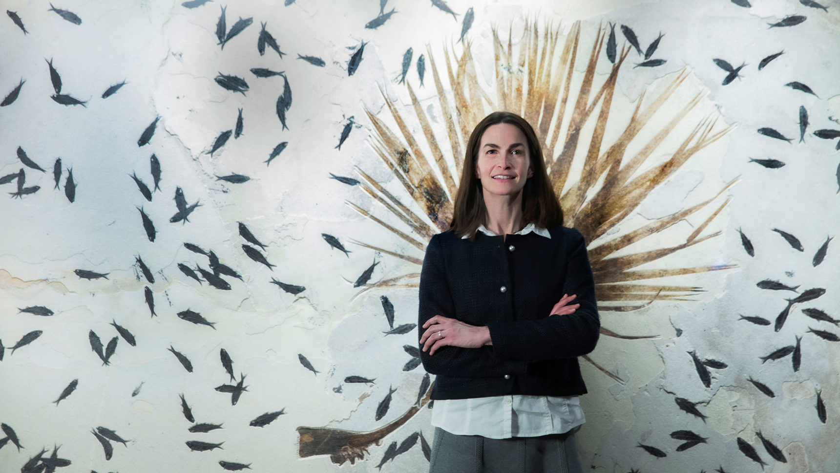 A Rapid End Strikes the Dinosaur Extinction Debate | Quanta Magazine