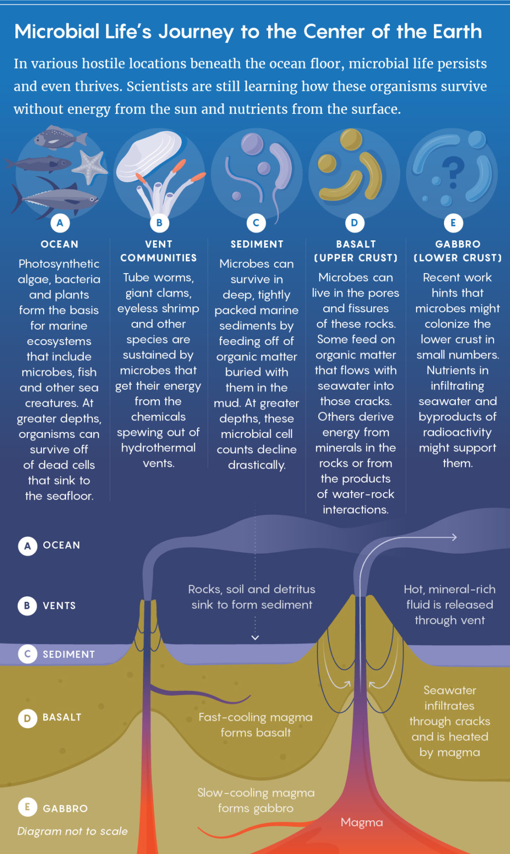 Inside Deep Undersea Rocks, Life Thrives Without the Sun | Quanta Magazine