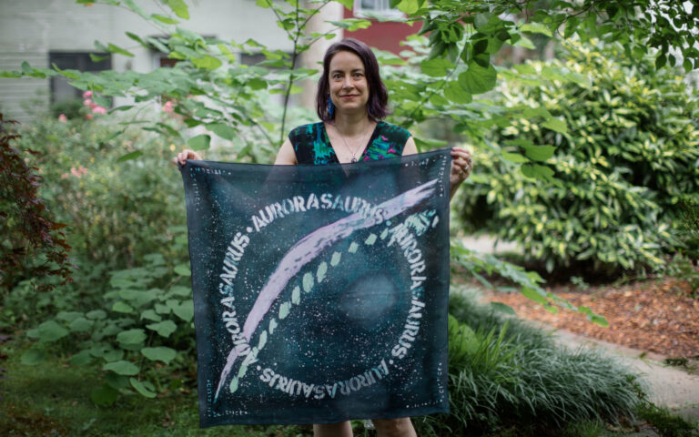 The Scientist Leading the World’s Aurora Hunters | Quanta Magazine