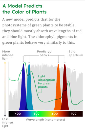 Why Are Plants Green? To Reduce the Noise in Photosynthesis. | Quanta ...