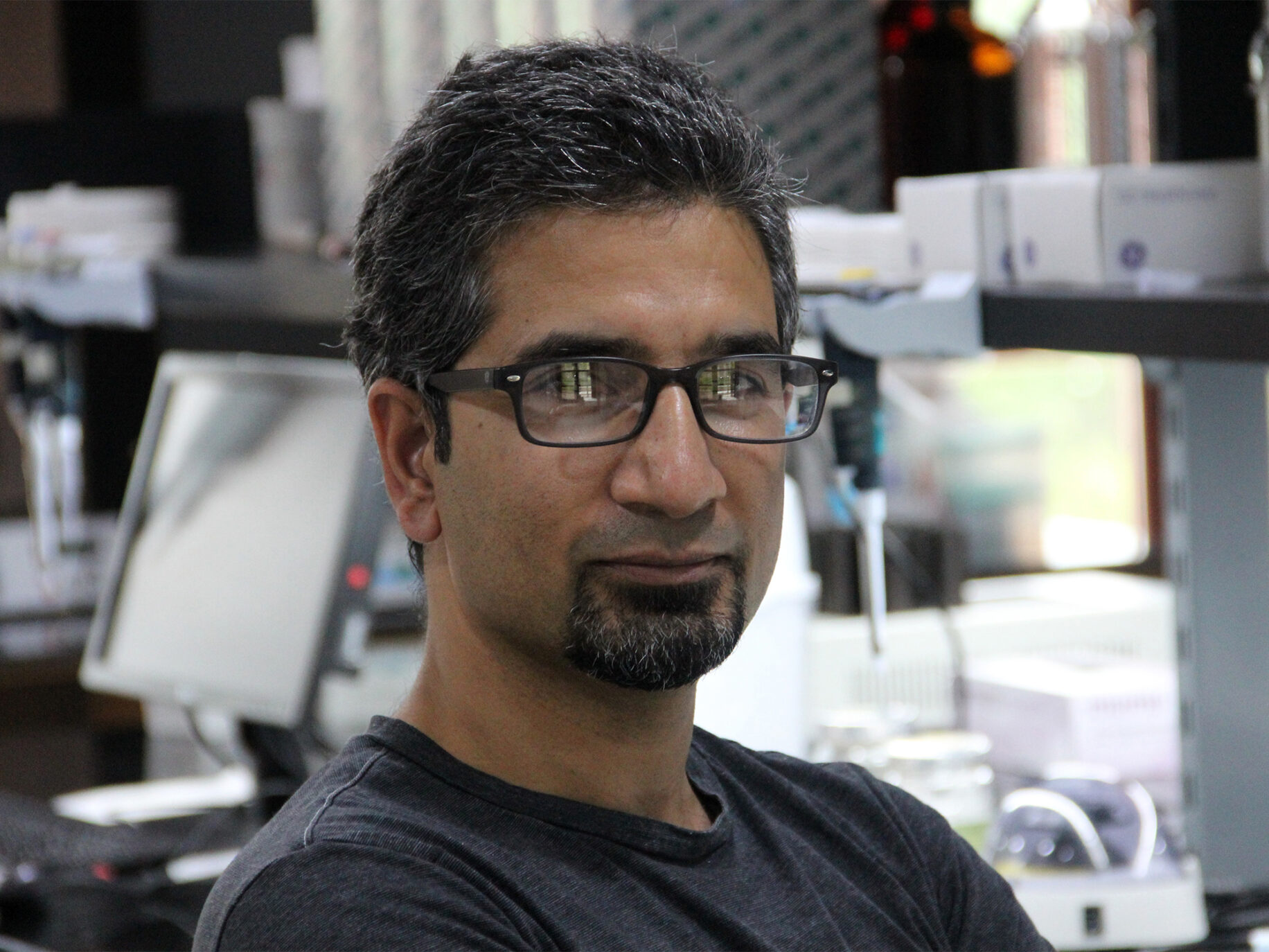 How Two Became One: Origins of a Mysterious Symbiosis Found | Quanta ...