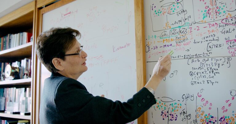 Catherine Dulac Finds Brain Circuitry Behind Sex-Specific Behaviors ...