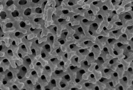 How Blue Animals Color Themselves With Nanostructures | Quanta Magazine