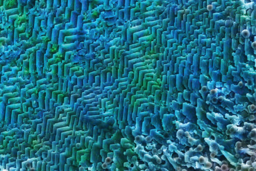 How Blue Animals Color Themselves With Nanostructures | Quanta Magazine