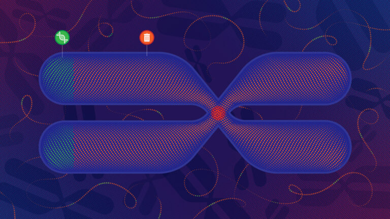 The Complex Truth About ‘Junk DNA’ | Quanta Magazine