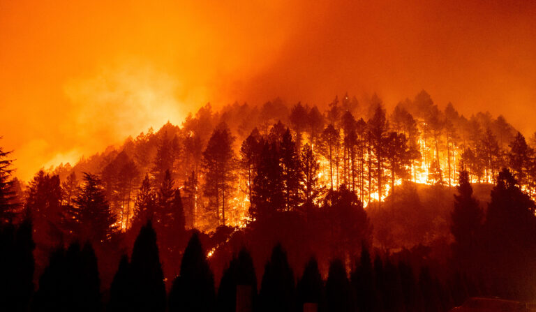 Wildfires of Varying Intensity Can Be Good for Biodiversity | Quanta ...