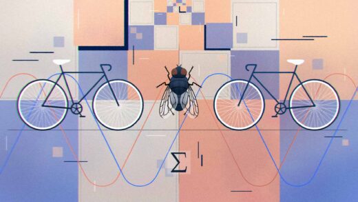 How Infinite Series Reveal the Unity of Mathematics | Quanta Magazine