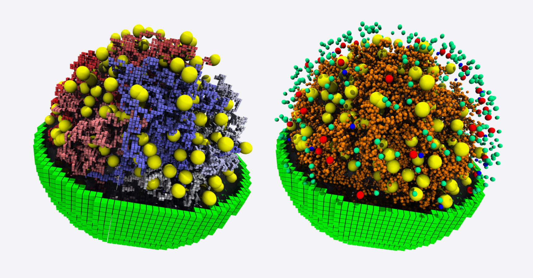 Most Complete Simulation of a Cell Probes Life’s Hidden Rules | Quanta ...