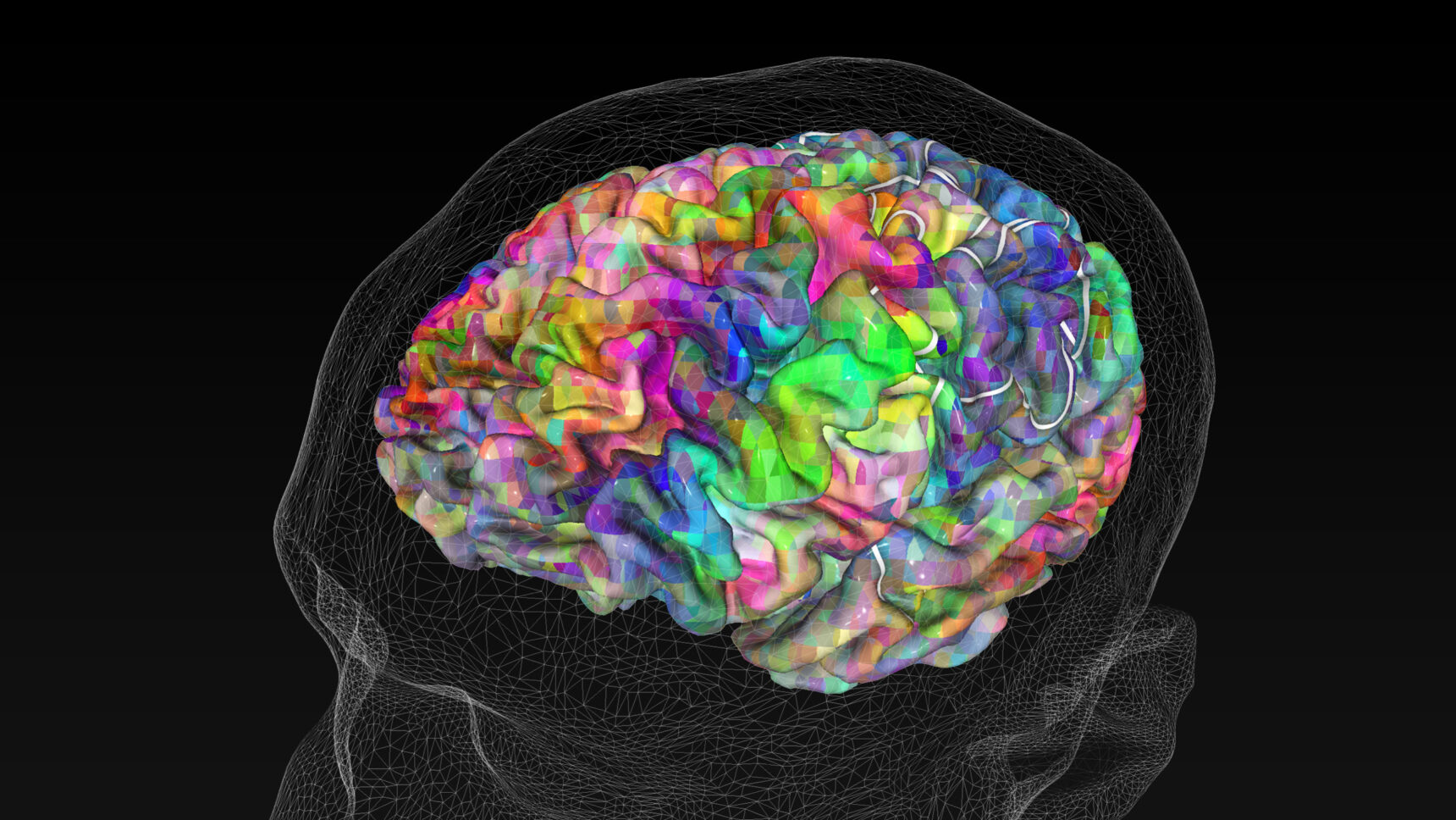 New Map of Meaning in the Brain Changes Ideas About Memory | Quanta ...