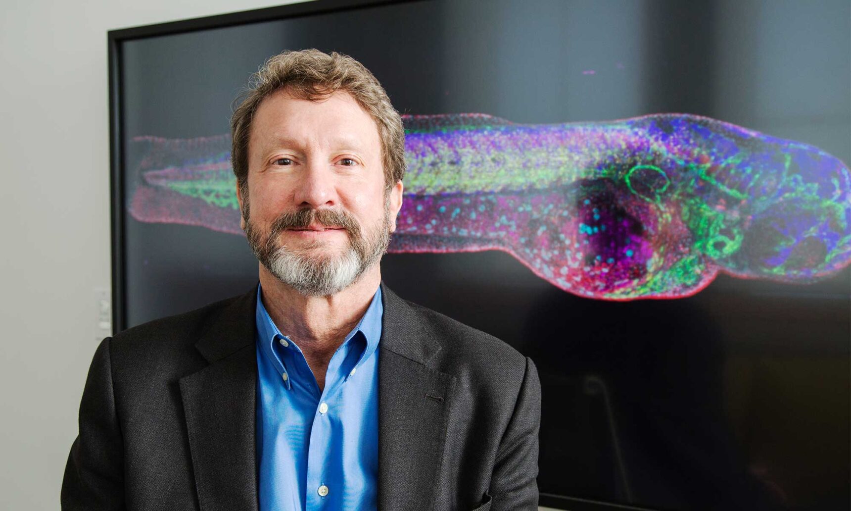 Scientists Watch a Memory Form in a Living Brain | Quanta Magazine