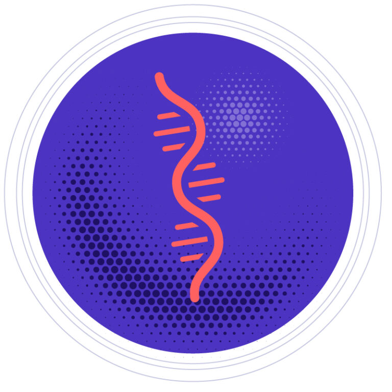 In Test Tubes, RNA Molecules Evolve Into a Tiny Ecosystem | Quanta Magazine
