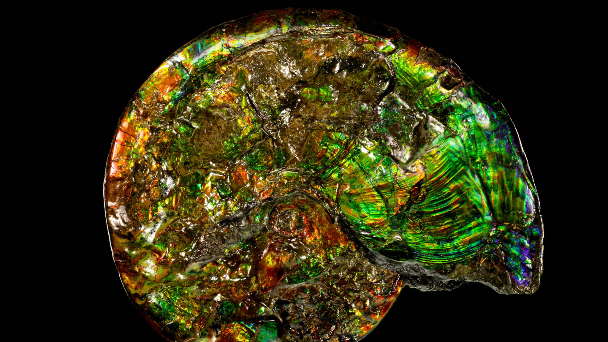 Life Helps Make Almost Half of All Minerals | Quanta Magazine