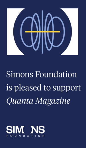 A Brief History of Tricky Mathematical Tiling | Quanta Magazine