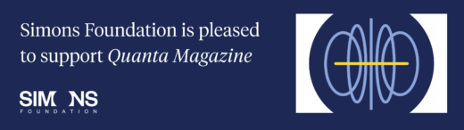 Science and Math News | Quanta Magazine