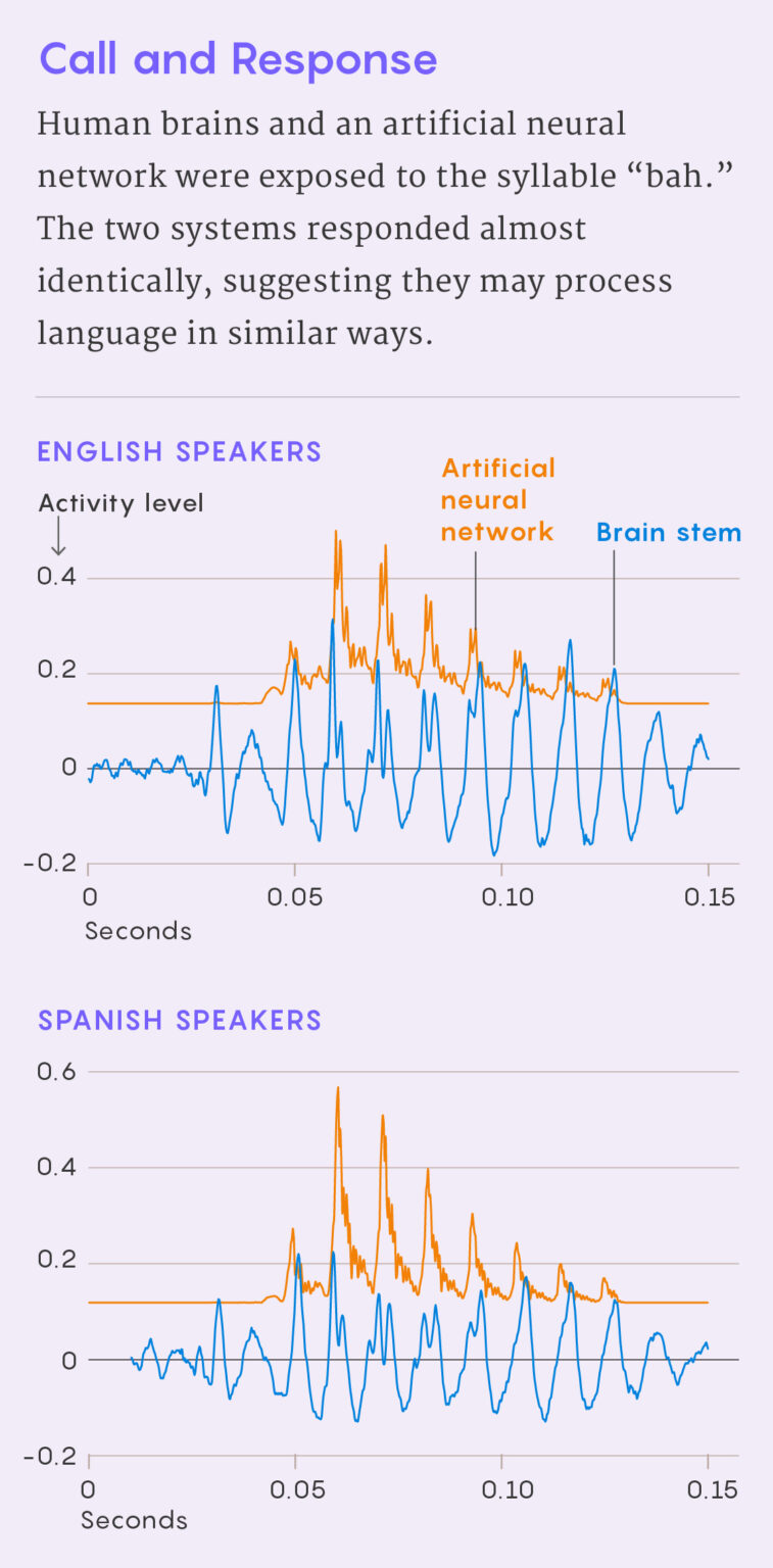 Some Neural Networks Learn Language Like Humans | Quanta Magazine