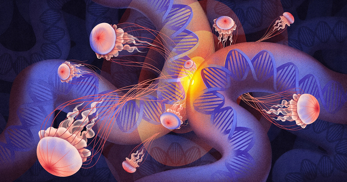 Loops of DNA Equipped Ancient Life To Become Complex | Quanta Magazine