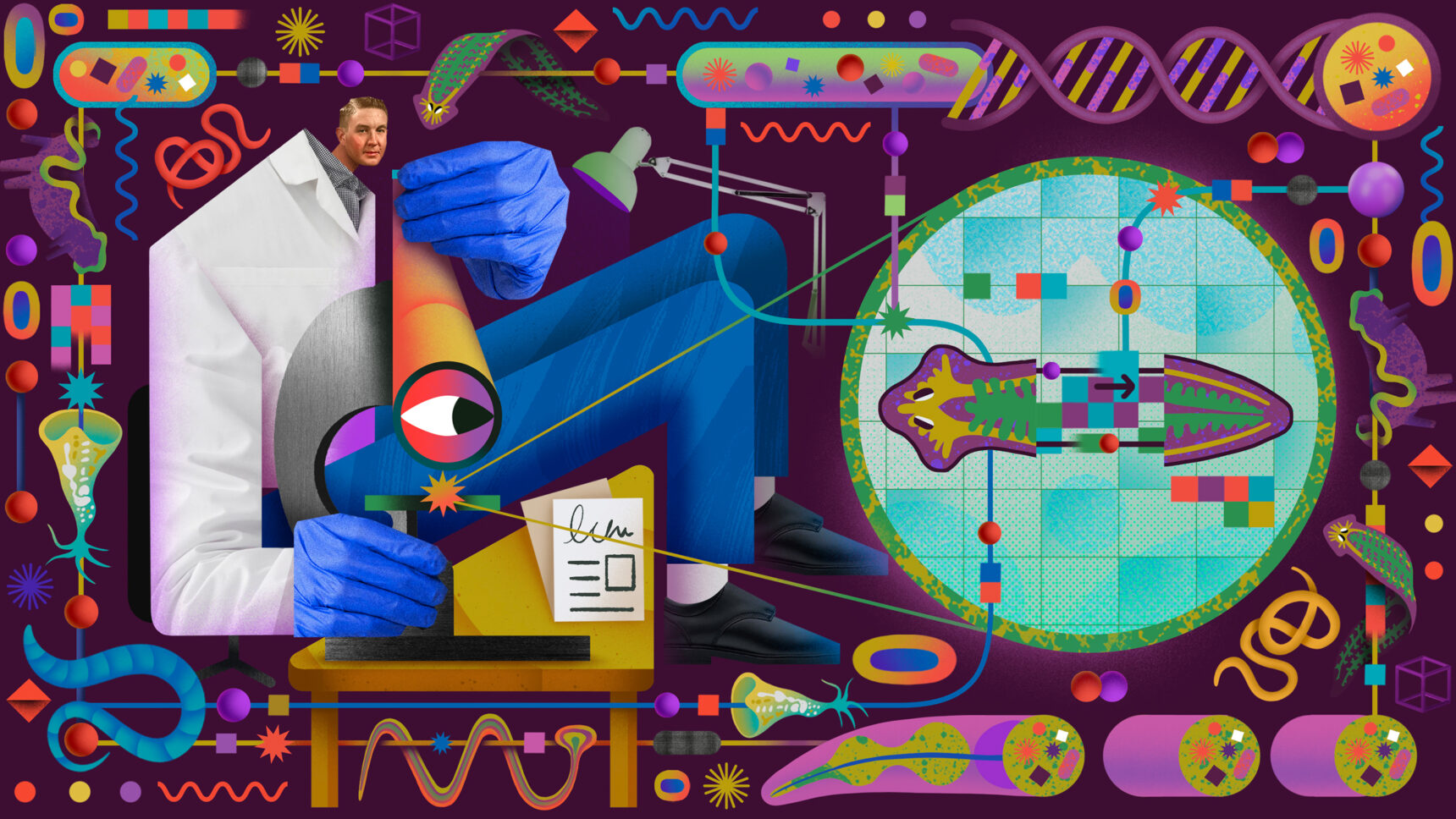Are Memories Transferable — or Edible? | Quanta Magazine